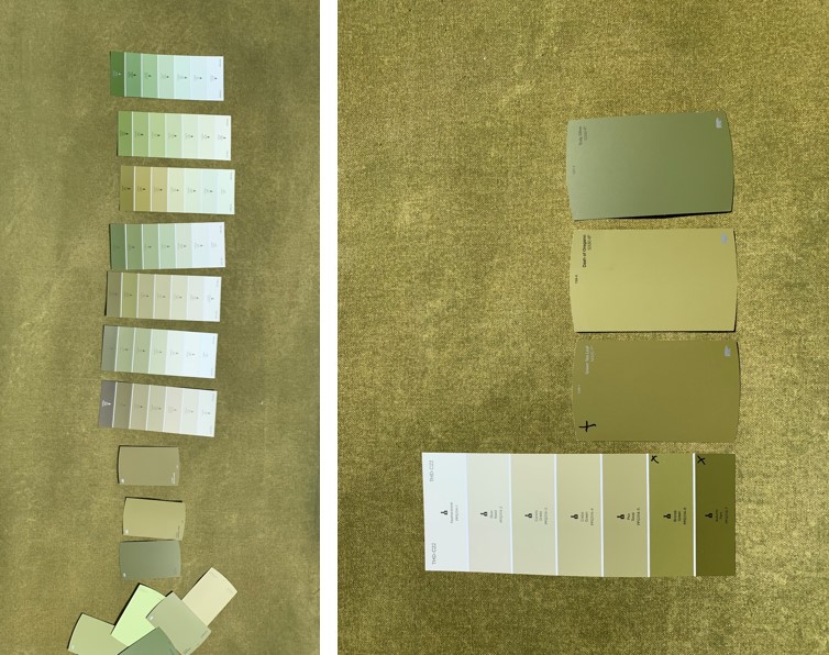 Studio Backdrop: Vibrant Olive – Artifact Photography Studio Blog